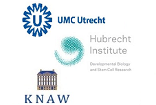 New culturing method for liver and pancreas developed_ringier industry ...